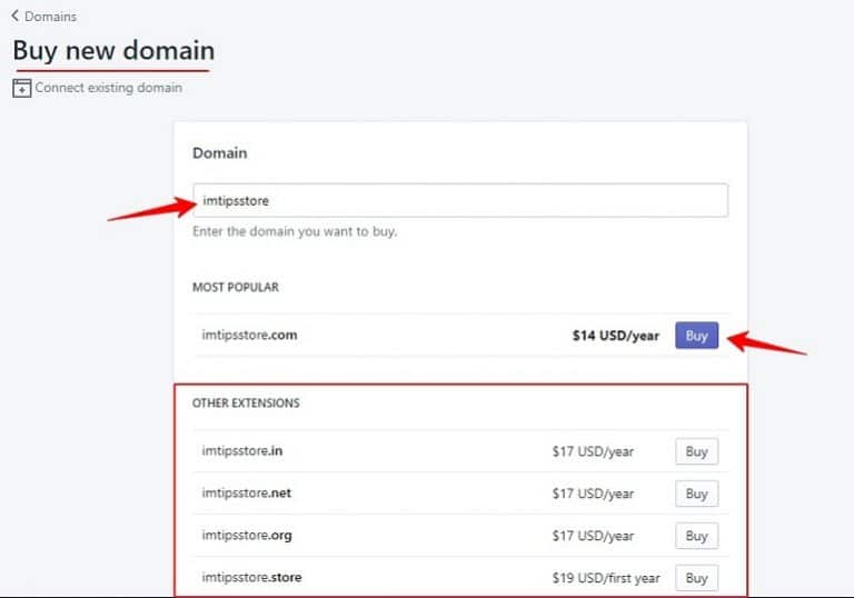 How to Use a Custom Domain for Your Shopify India Store - BizTips